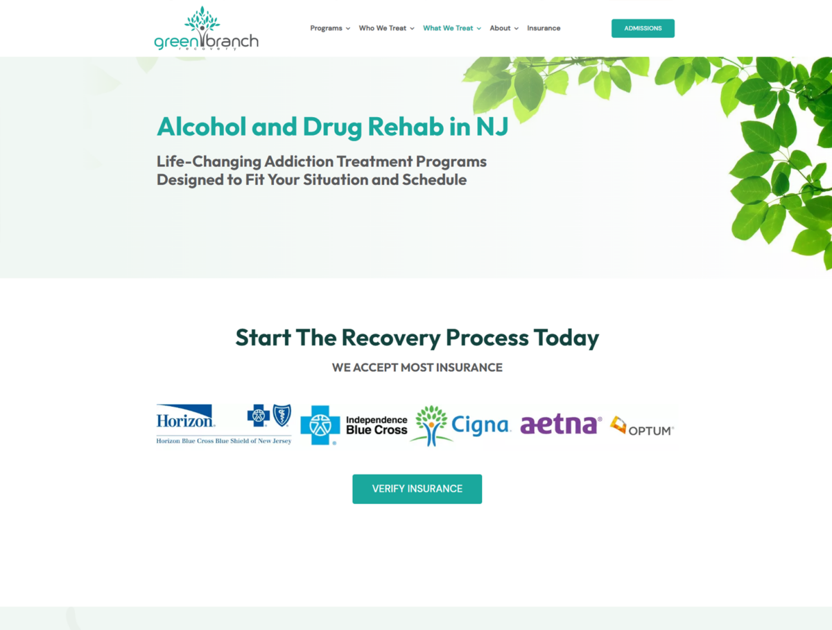 Lead to Recovery's Website Design and Development Portfolio